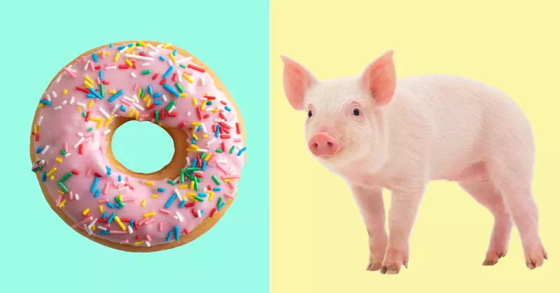 Zebratests | Kids Early Learning at Home | Trusted by millions of ...