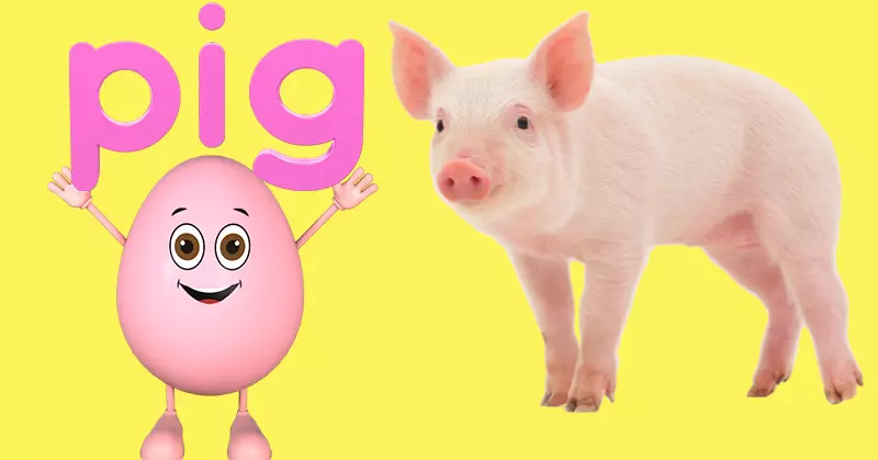 Zebratests | Kids Early Learning at Home | Trusted by millions of ...